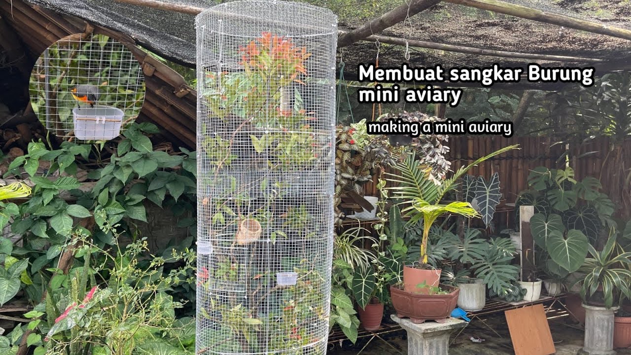 MAKING A MINI AVIARY