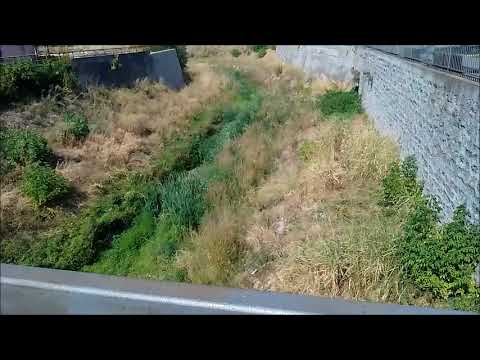 Ravanica river - Ćuprija 05.09.2024