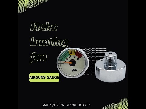 Air rifle pressure gauge