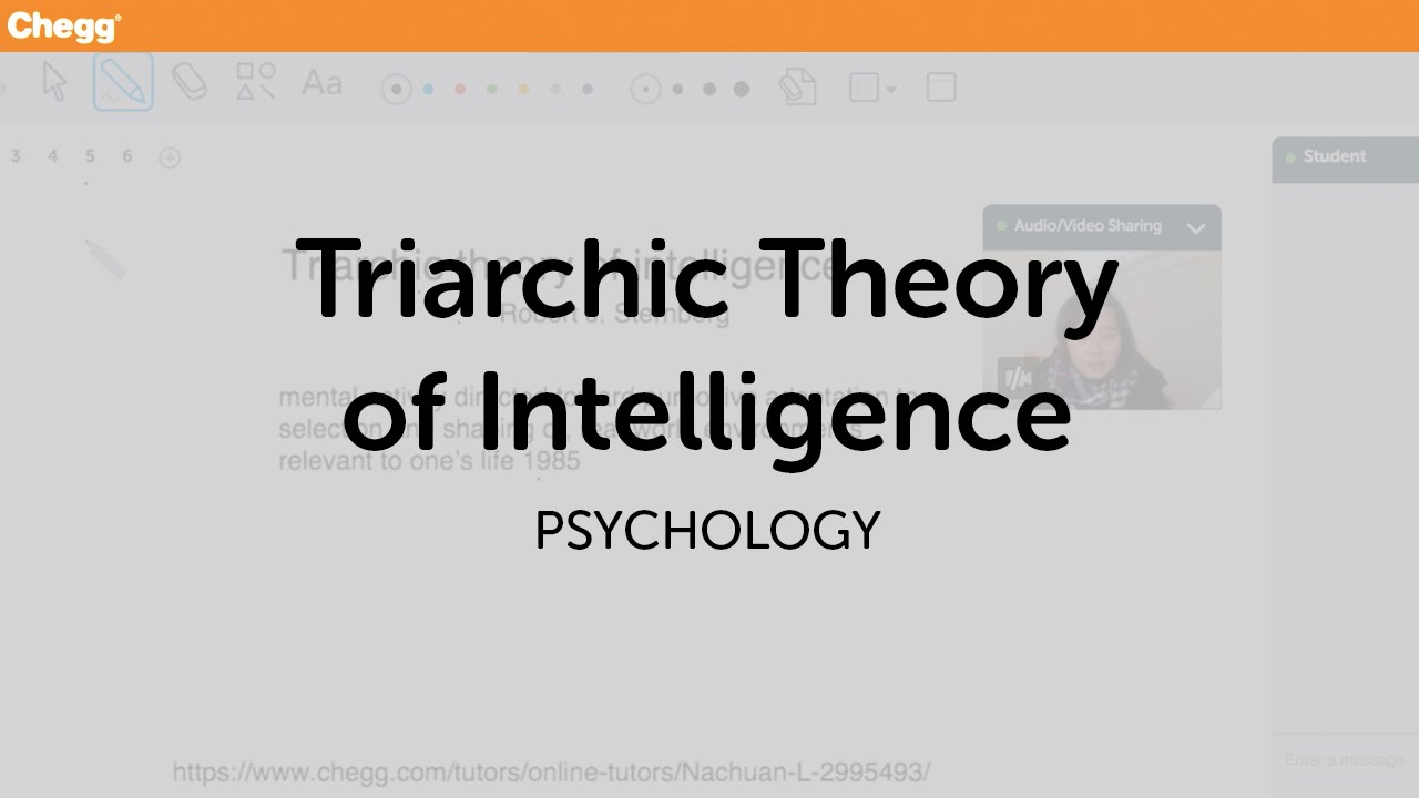 Triarchic Theory of Intelligence | Psychology | Chegg Tutors