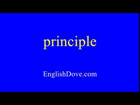 How to pronounce principle in American English.