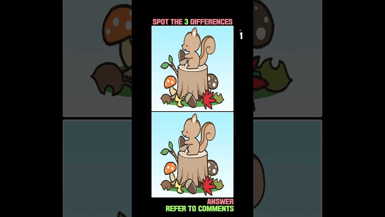 ⏱️15sec / Spot The Difference #17