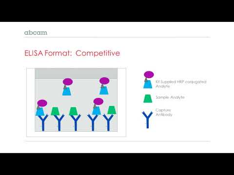 ELISA: First Principles