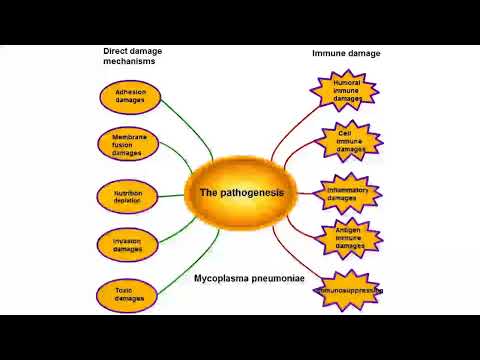 Mycoplasma/PPLO