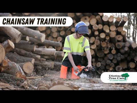 Chainsaw Training with DTC
