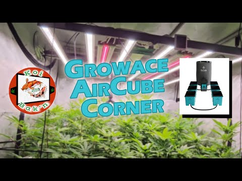 Growace AirCube Active Oxygen Ebb and Flow Grow System | Season 4 Ep 4