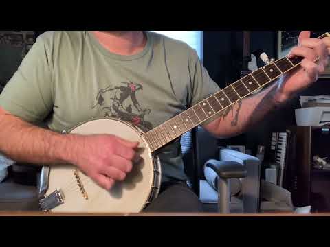 Rover 5-String Open Back Banjo (w/ gig bag) | Reverb