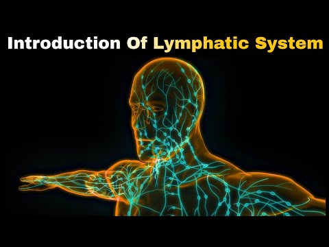 Introduction of lymphatic system in hindi