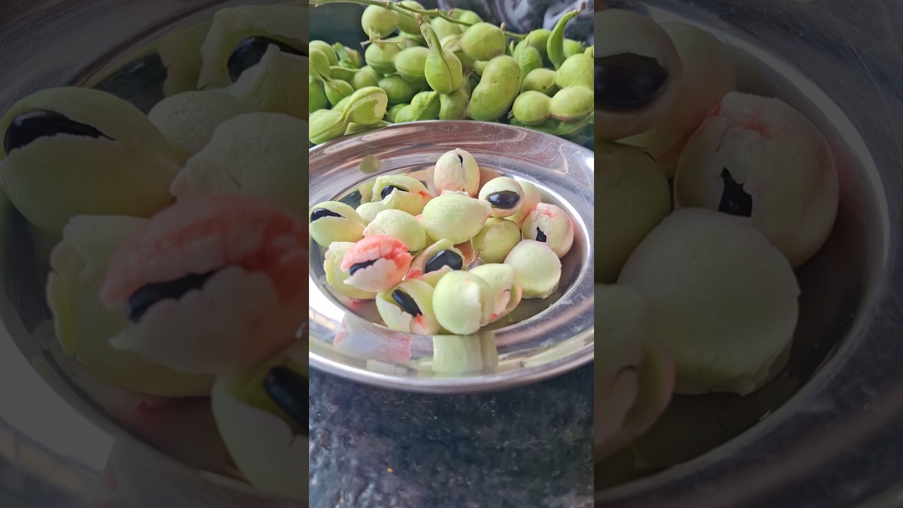 Do You Know This Fruit? 😍 Manila Tamarind