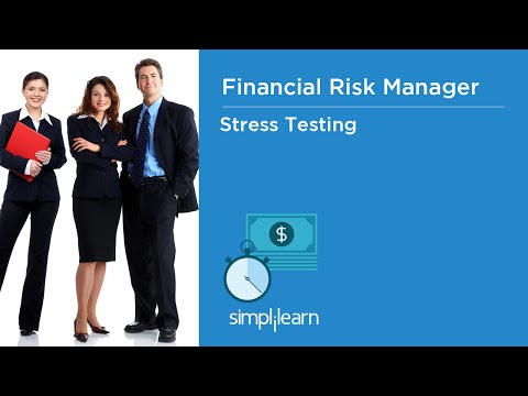 What is Stress Testing? | Financial Risk Manager Video Training | FRM Tutorial Video