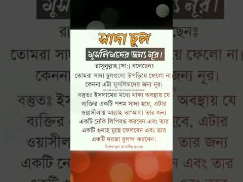 Islamic Knowledge and Hadis Bangla