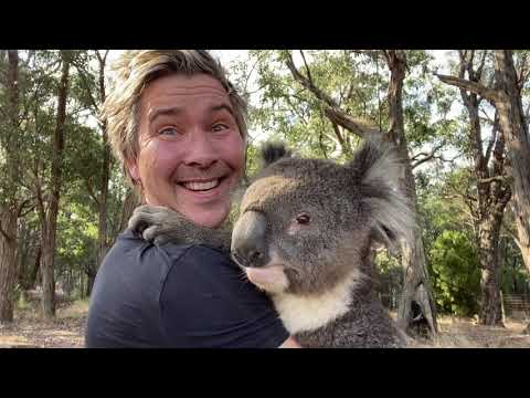 Chris Humfrey's Awesome Australian Animals by Chris Humfreys ...