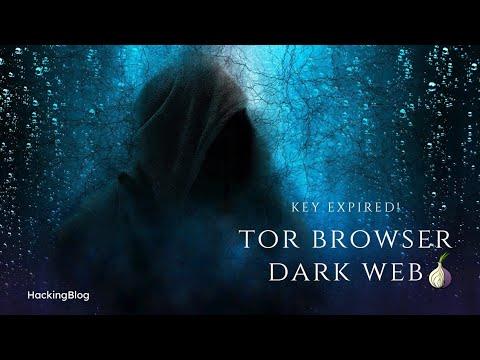 "Exploring the Dark Web using Tor Browser: Your Gateway to Online Privacy"!! 😱