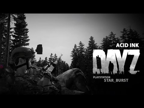 DAY Z MilSim 31224
