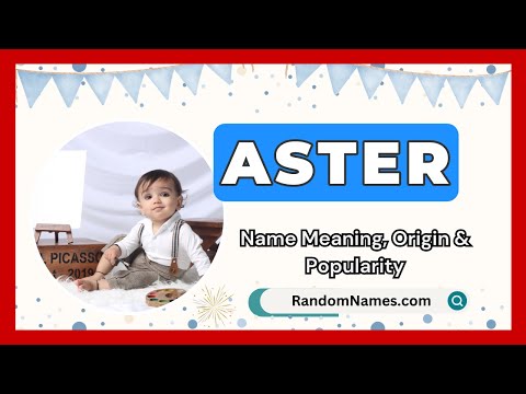 Aster - Baby Boy Name Meaning, Origin & Popularity - RandomNames.com