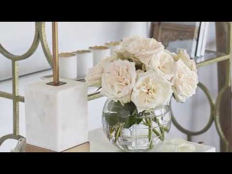 Gabby Testimonials from Top Designers
