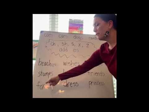 spelling (adding -s and -es to make plurals)