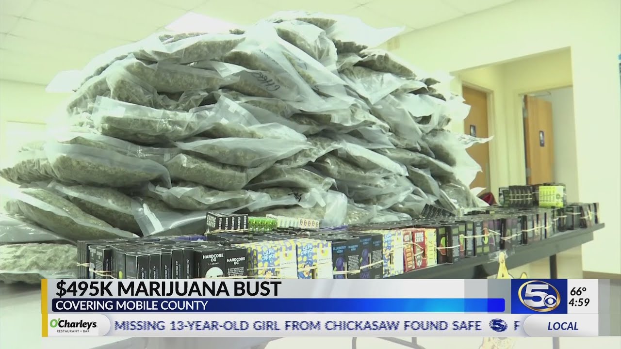 VIDEO: I-10 marijuana bust