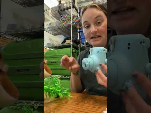 Instant Camera Demo