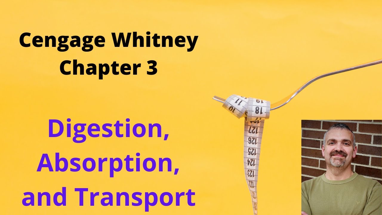 Cengage Whitney Nutrition Chapter 3 Lecture Video (Digestion, Absorption, and Transport)