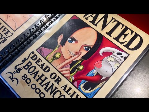 Steam Community :: Video :: Drawing Wanted Poster of Boa Hancock - One ...