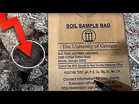 Soil Samples - You MUST Do This For Your Vegetable Garden!