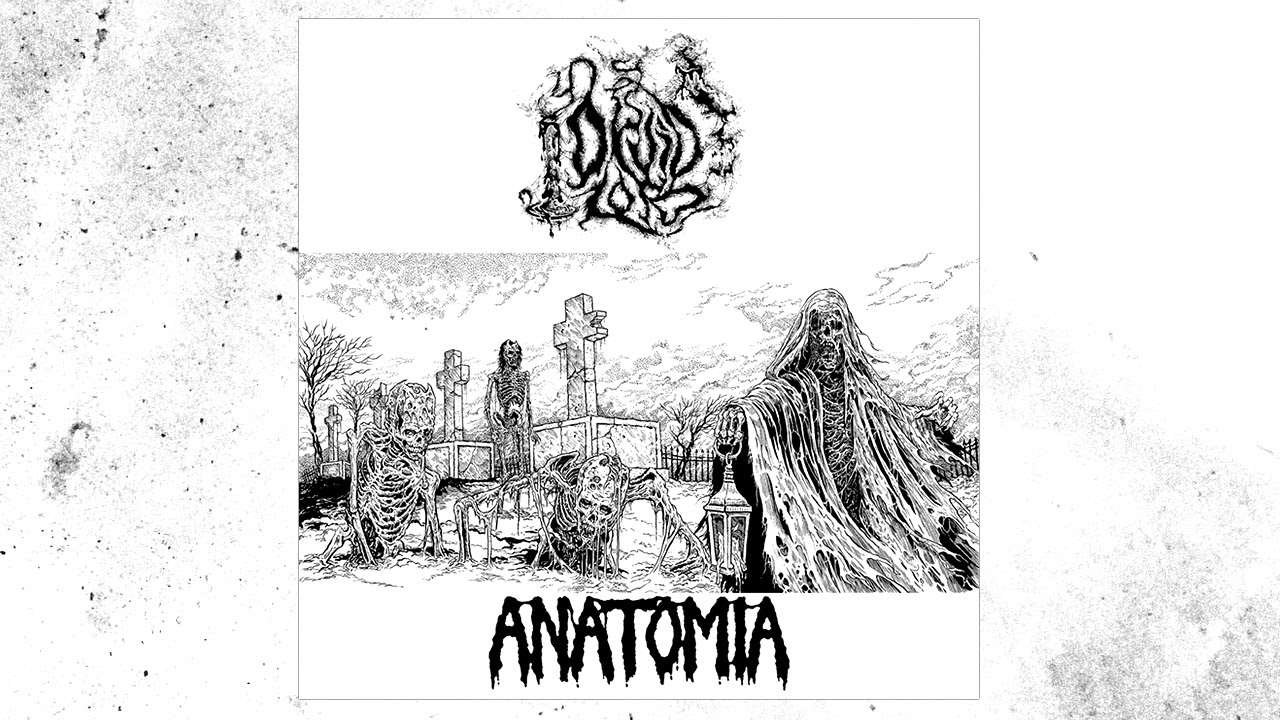 DRUID LORD / ANATOMIA - split, 2022