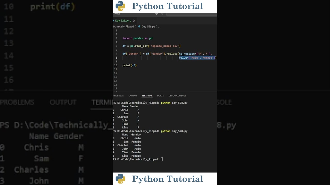 Replacing Values In A Pandas Dataframe | Python Tutorial