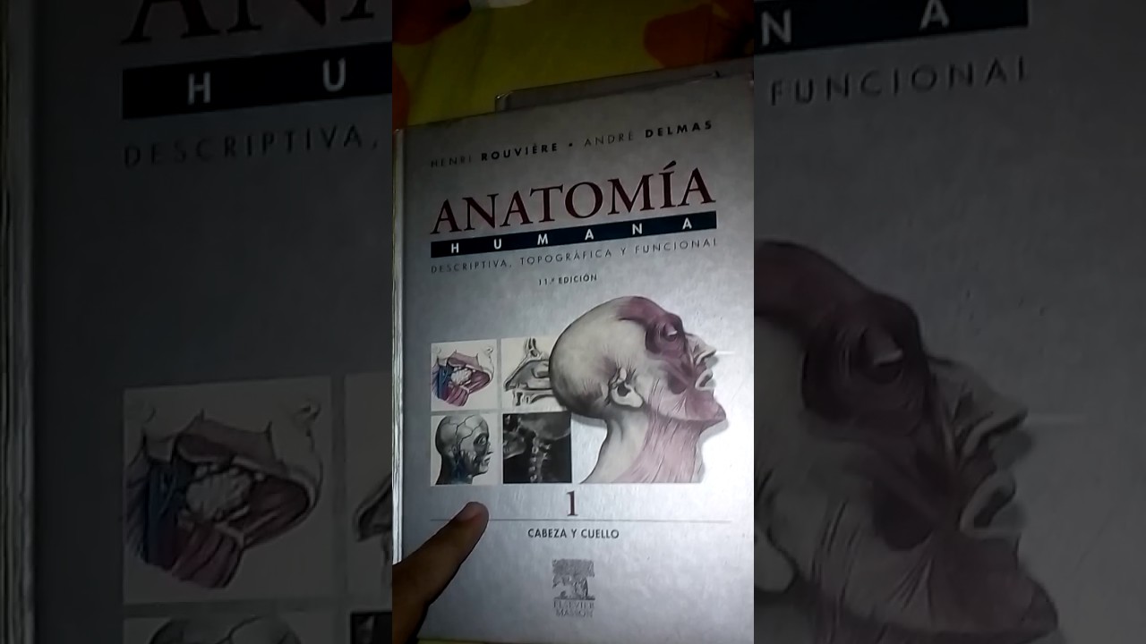 Colección Libros De Anatomía Humana Rouviere 11 Va Edición (mercadolibre)