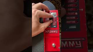 DigiTech WH-4 Whammy (4th Gen) - What To Know & Where To Buy | Equipboard