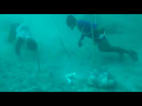 EXTRICATION OF TRADITIONAL CHANK DIVERS RISKY LIVE - GlobalGiving