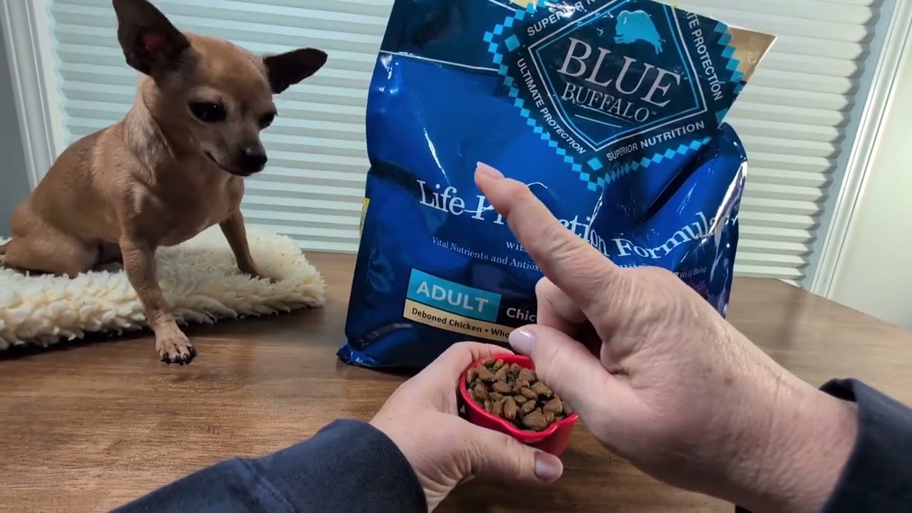 My review of Blue Buffalo Life Protection Formula Adult Dry Dog Food, Helps Support Strong Muscles