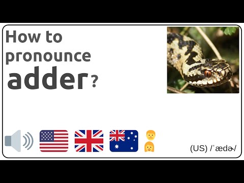 How to pronounce adder in english?