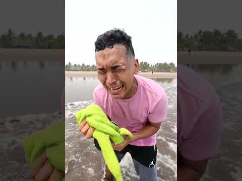LARIN EN EL MAR