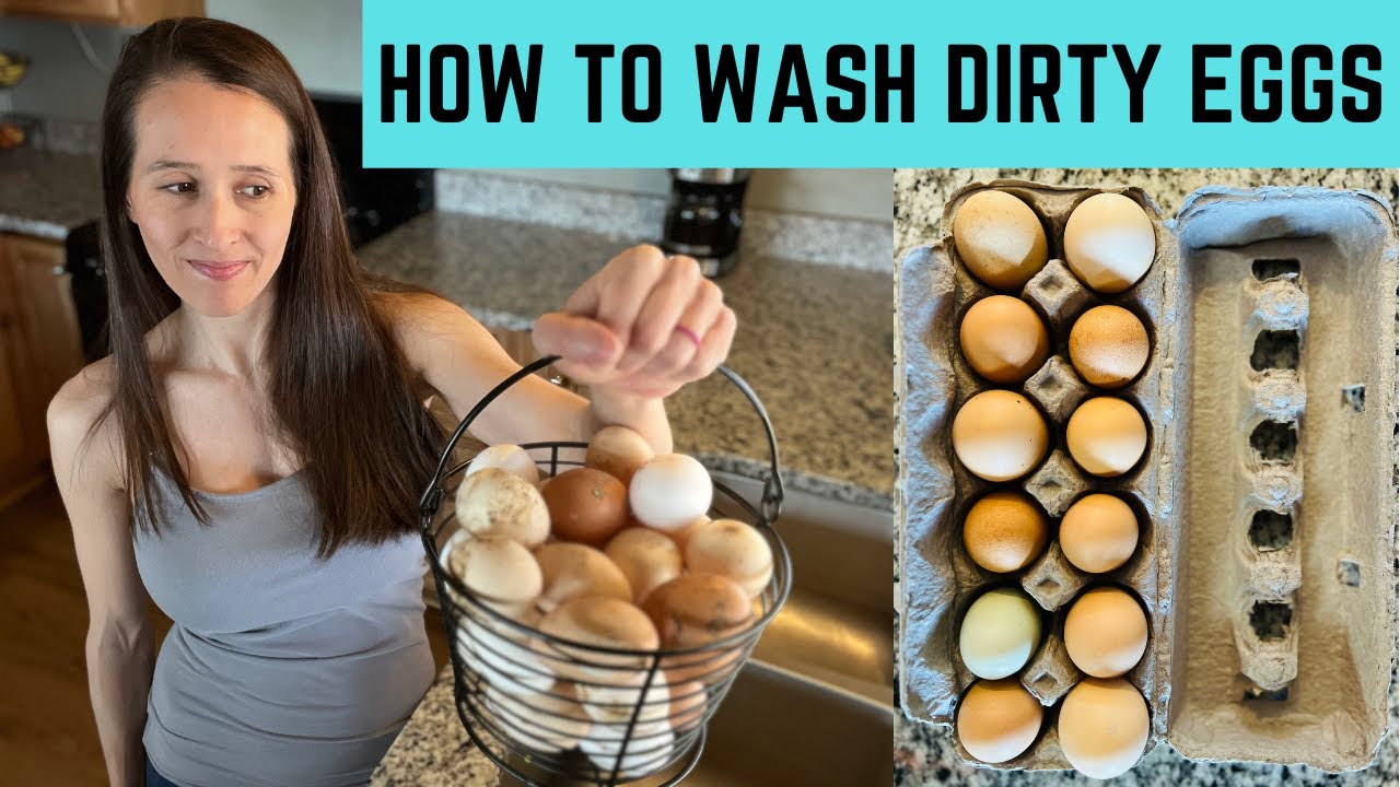 How To Wash Dirty Backyard Chicken Eggs From The Coop