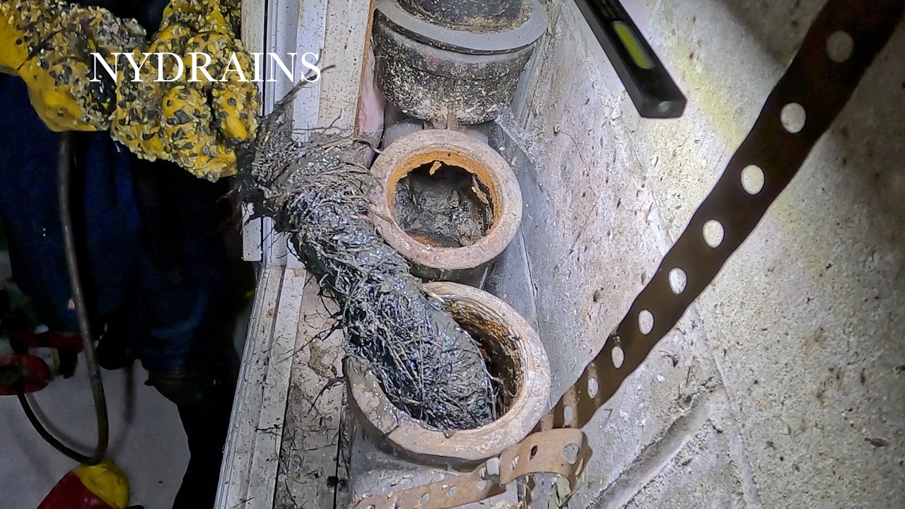 Clogged Drain #335