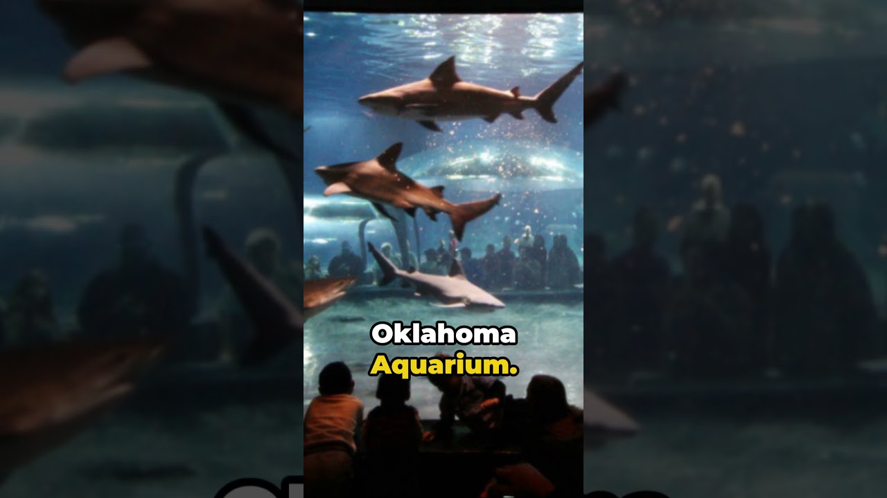 Oklahoma Wonders  A Quick Sightseeing Guide #travel