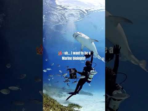 Marine biologist