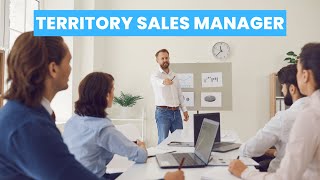 What is the role of a Territory Sales Manager