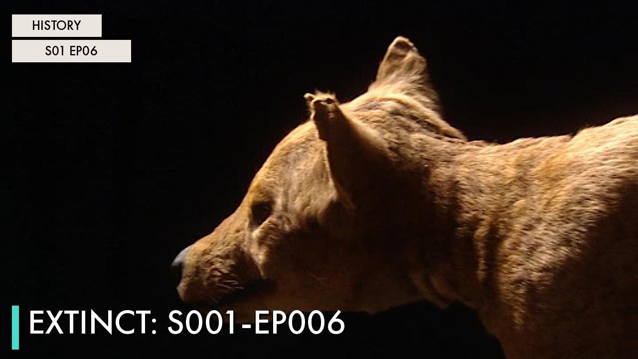 Extinct: S01 EP06