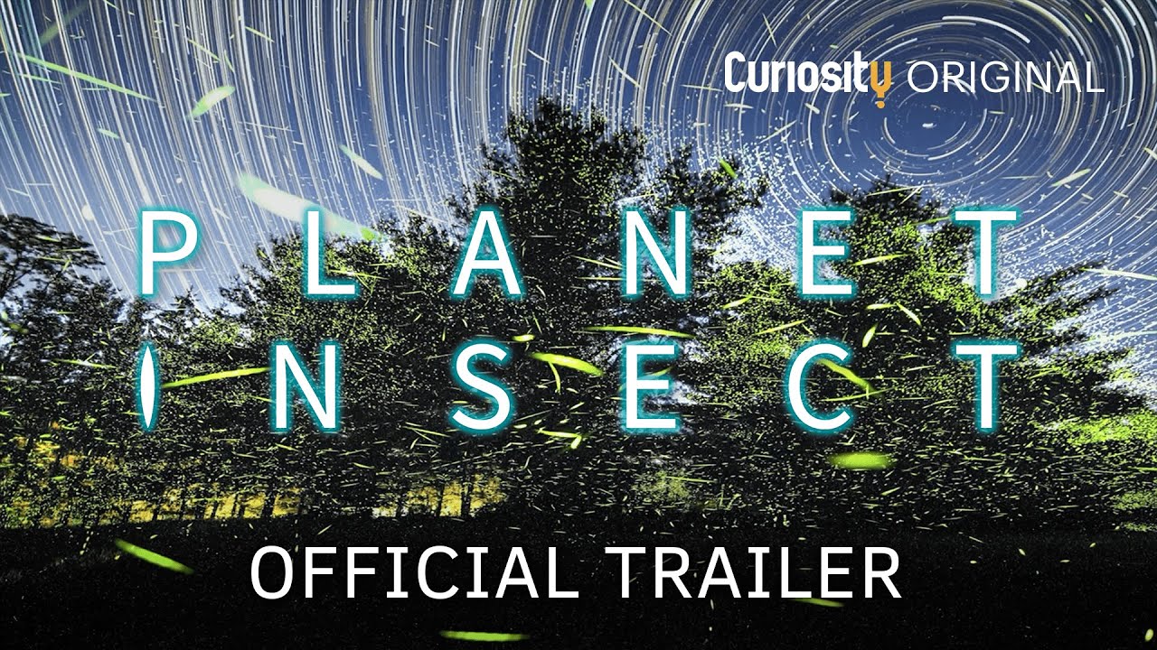 Planet Insect | Trailer