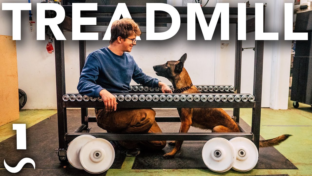 Building a Self-Powered Dog Treadmill: An Engineering Adventure | Galaxy.ai