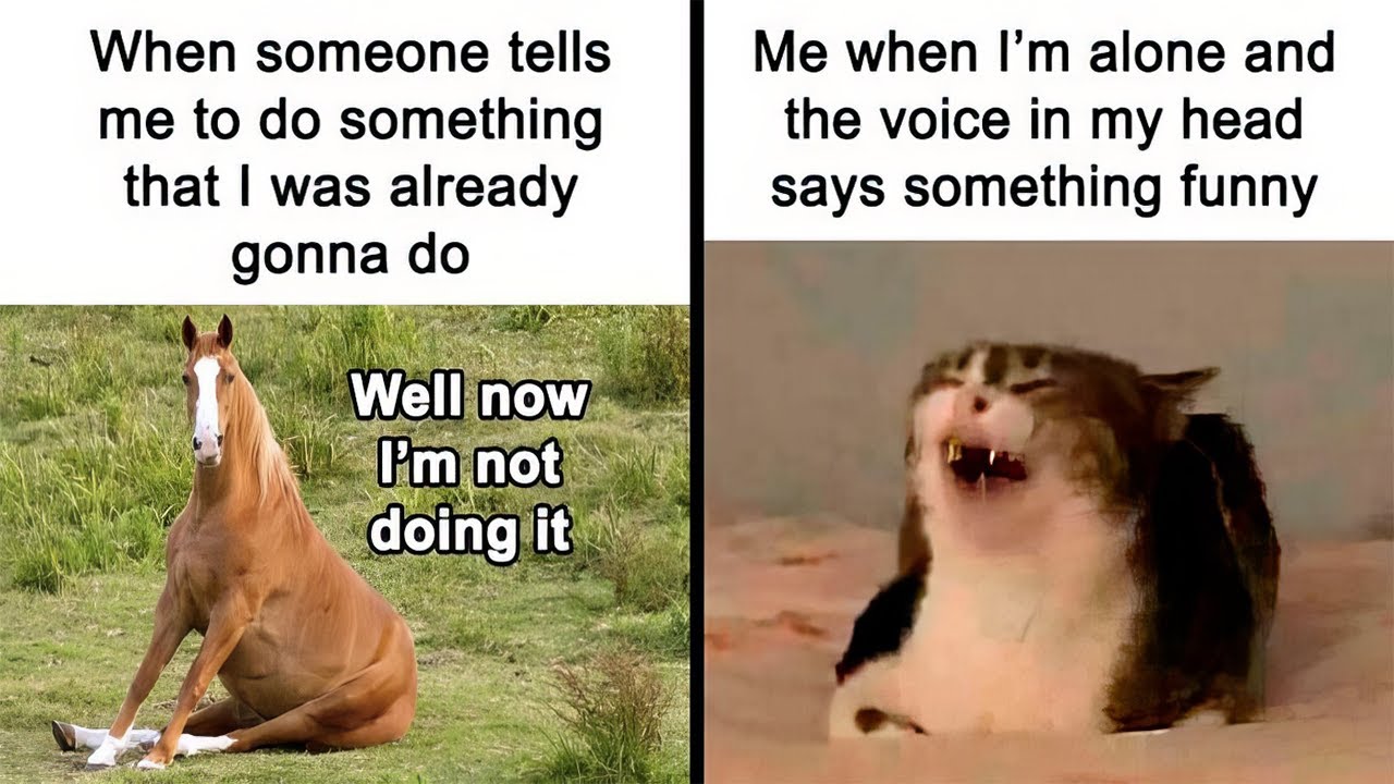 Relatable Memes That Range From Lighthearted To Ones That Hit Below The Belt