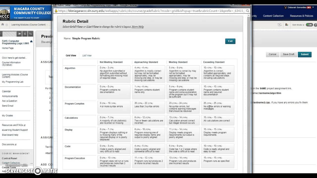 Viewing Project Rubrics