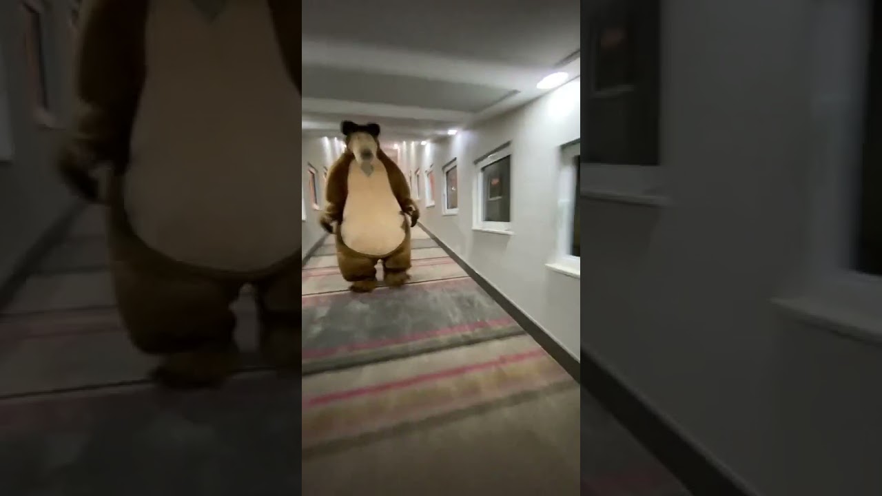 bear chases person down hall (original)