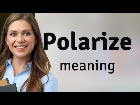 Polarize | meaning of POLARIZE