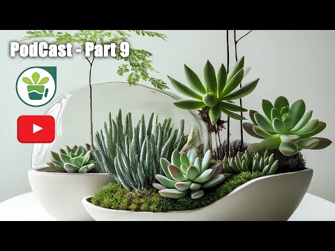 How to Propagate Cactus and Succulents Successfully — Even if You’re a Beginner