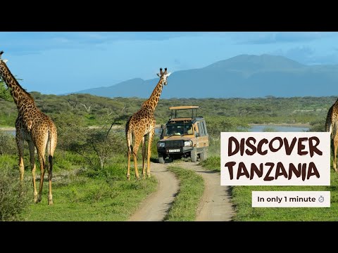 1 minute to discover Tanzania, with Tanzania Specialist.