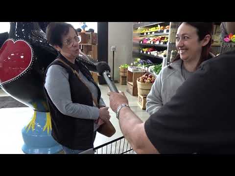 A FEIRA DO GADO NA PORTUGALIA MARKETPLACE EM FALL RIVER