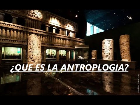¿ QUE ES LA ANTROPOLOGIA ?
